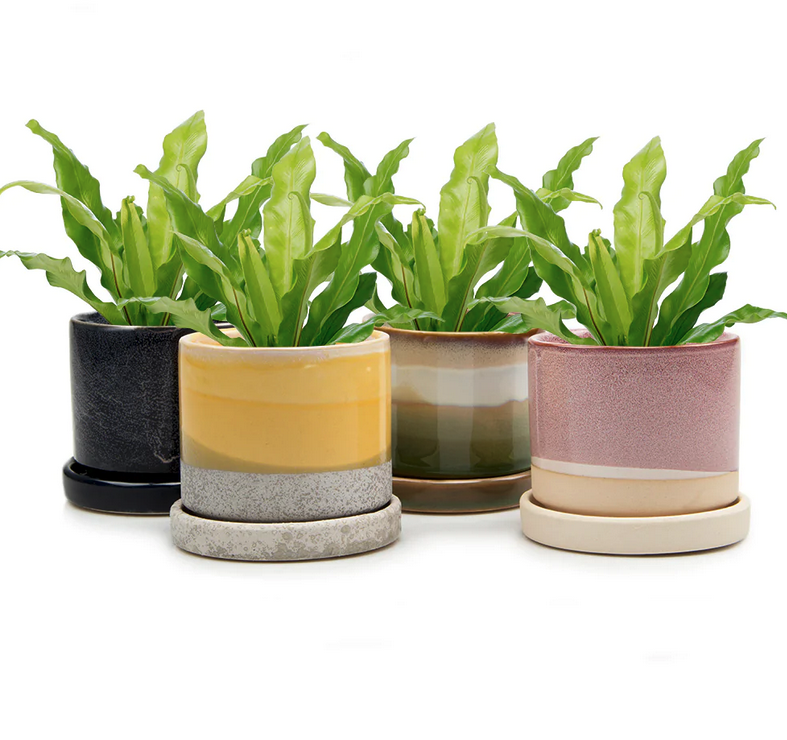 Shop All | City Planter